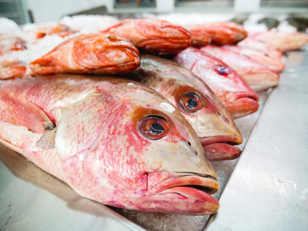 Fresh Seafood Rockingham | Local Fish & Prawns | The Malibu Market